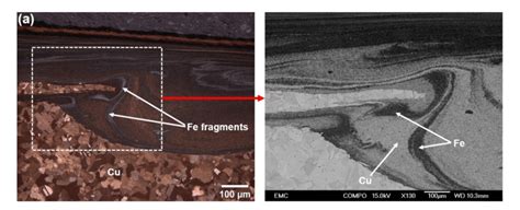 20 Shows The Sem Bse Micrographs Captured From The Roi Located In The Download Scientific
