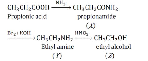 Identify The Compound Z In This Reaction Sequence Filo
