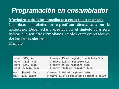 Programación en lenguaje ensamblador Monografias
