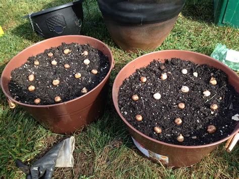 6 Awesome Small Garden Ideas To Try Today