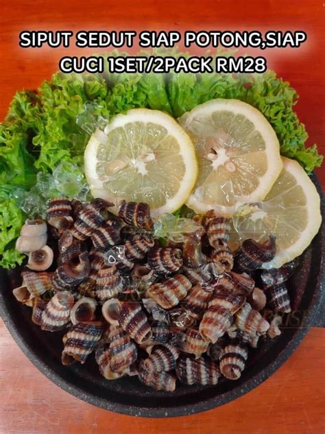 Siput Sedut Fresh 1kg Johor Bahru Food And Drinks Fresh Produce On
