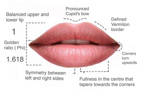 Luscious Lips Meaning