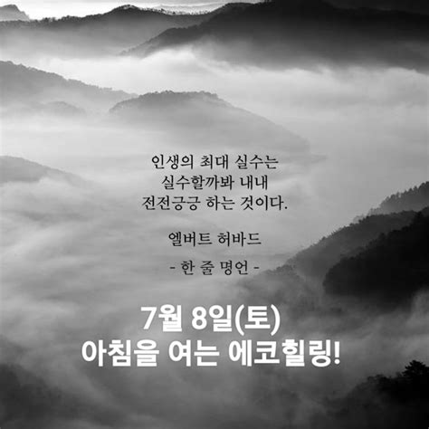 7월 8일토 아침을 여는 건강한 에코힐링 글 전체보기는 글주소 클릭 네이버 블로그