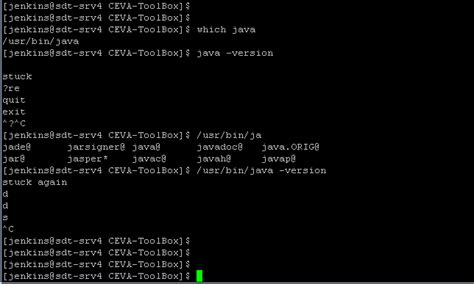 How To Check Java Version Portcompany