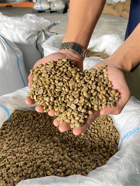 Mohammad Waseem On Linkedin Coffee Java Indonesia Jaadcoffee