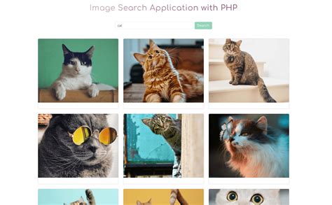Build Image Search App With Php Phpzag