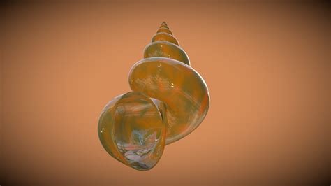 Sea Snail Math Xyz Download Free 3d Model By Smice 7c89191 Sketchfab