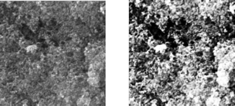 Catalytic Layer Of A Pemfc Obtained By Sem A Original Image And B Download Scientific