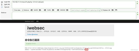 Iwebsec靶场 命令执行漏洞通关笔记iwebsec攻略 Csdn博客