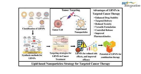 Lipid Based Nanoparticles Strategy For Targeted Cancer Therapy Bio