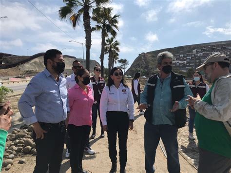 Siembran 500 Plantas Nativas En Tijuana Xewt 12