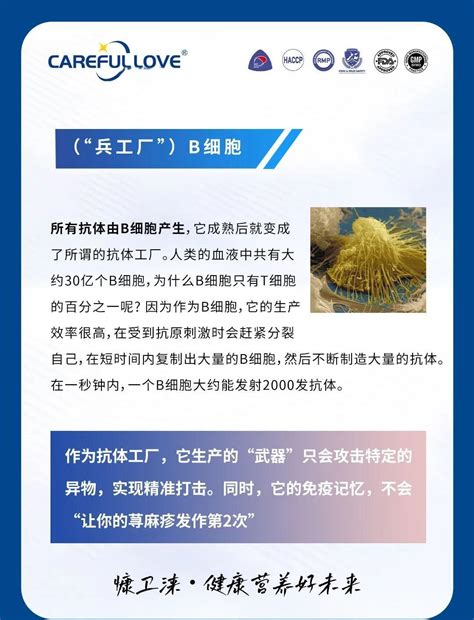 免疫细胞种类与功能介绍