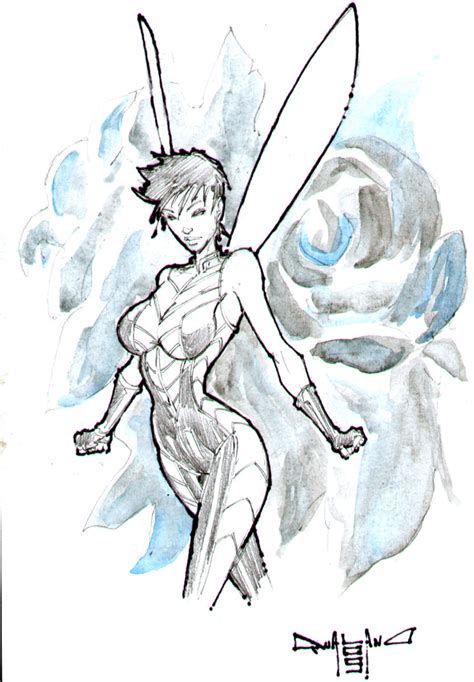 Wasp Sketch By Qualano On Deviantart