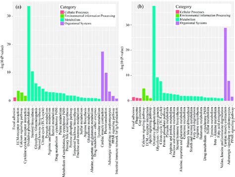 Volcano Plots Of The Gene Libraries Of Muscle From Fish In The