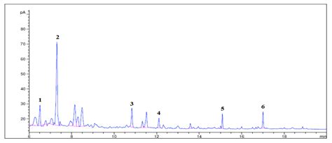 Gas Chromatogram Analysed By Gcfid For Derivatized Blank Peak