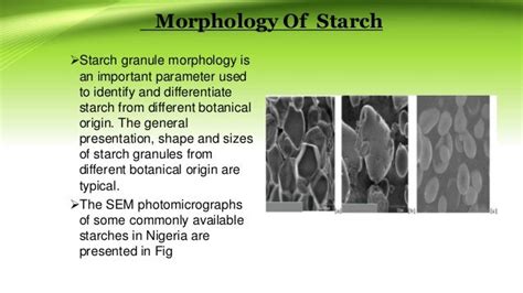 Starch Based Biopolymer
