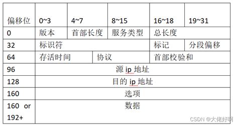 计算机网络常见数据包结构回顾常态数据包 Csdn博客