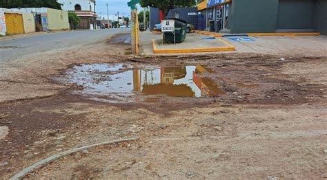 ᐅ Como Destapar un Drenaje Tapado con Tierra
