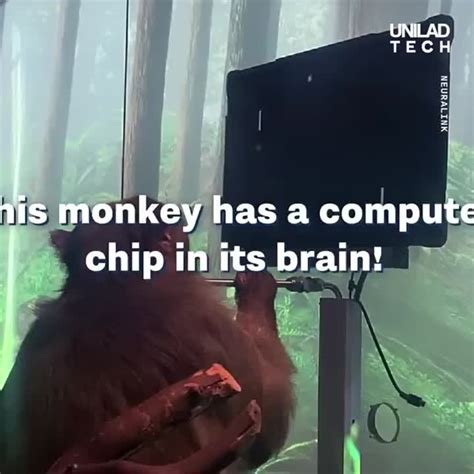 Video Pushkar Kudlikar On Linkedin Machinelearning Artificialintelligence Innovation