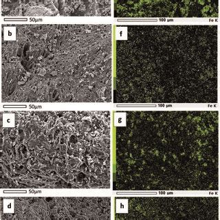 SEM Images Of CFe A CHFe B COAFe C COHFe D And Their Download Scientific Diagram