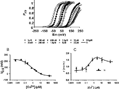 Large conductance Ca2+-activated K+ (BK) channel: Activation by Ca2 ...