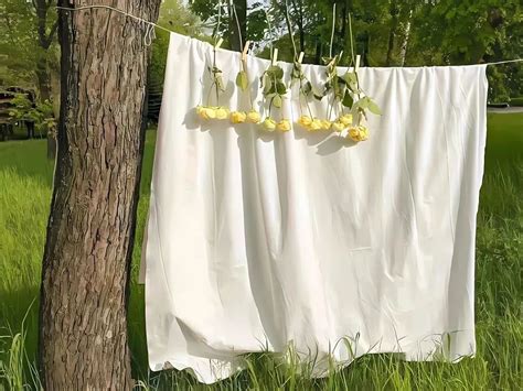 【java集合】想成为java编程高手？先来了解一下list集合的特性和常用方法！ 云端源想 Segmentfault 思否