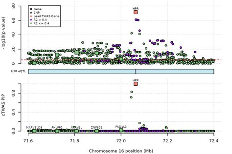 Using Ctwas With Summary Statistics • Ctwas
