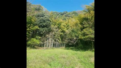 이촌미용실 용산미용실 이촌동미용실 리커버리아 헤드스파 Youtube