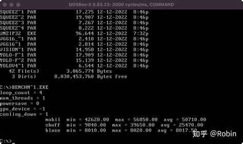 DJGPP NCNN 让你的 486 机器 NCNN 起来 知乎