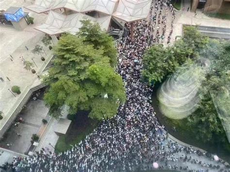 左手墨迹 On Twitter 深圳科兴科技园十万人瞬间被封在园内