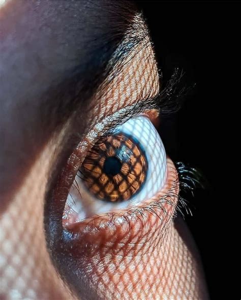 Download Stunning Macro Beauty Wallpaper