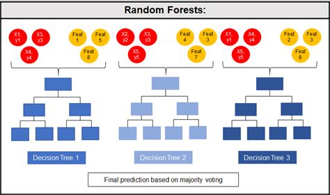 Random Forest Model Data Is Randomly Split Into Multiple Decision Trees