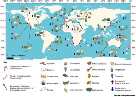 Mass Migration Affects Ecosystems And Even The Global Economy