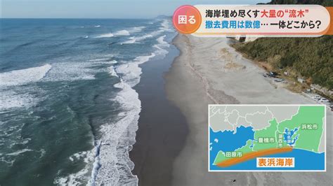 出所不明の流木に埋め尽くされた海岸、漁師やサーファーに被害も膨大な処理費用はどこが持つ？ Tbs News Dig