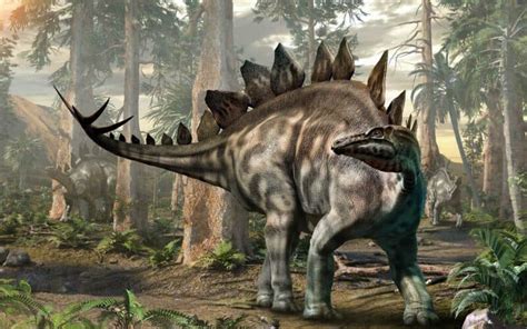 How Big Is A Stegosaurus The Dinosaur With Spikes Dinosaur Universe