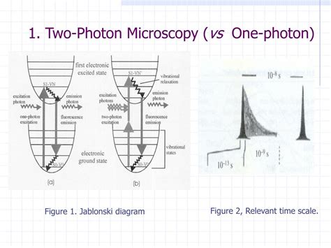 PPT Confocal Two Photon Microscopy PowerPoint Presentation ID 6051952