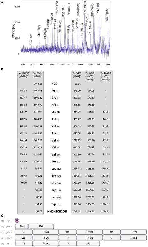 A Lift Maldi Toftof Product Ion Spectrum Of A C17 Gramicidin Download Scientific Diagram
