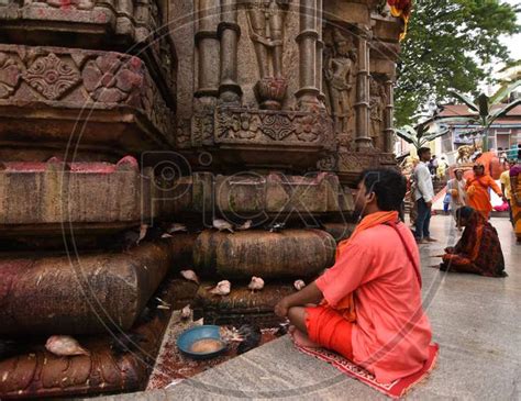 Image Of Assamese Hindu Devotees Celebrating Ambubachi Mela In Khamakhya Temple In Guwahati