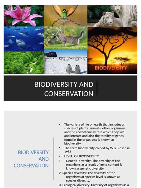 Envs Unit4 Ananyakundudey 10apr2020 Pdf Biodiversity Conservation