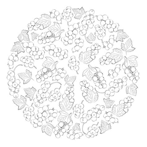 Premium Vector A Set Of Black And White Currents In A Circle Vector Graphics