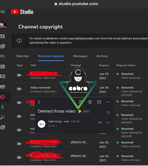 Cobra Hack To Protect Your System