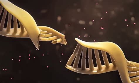 Radium 223 A Revolutionary Treatment For Crpc At Anadolu