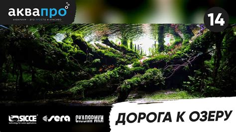 14. Дорога к озеру #АкваПро - YouTube