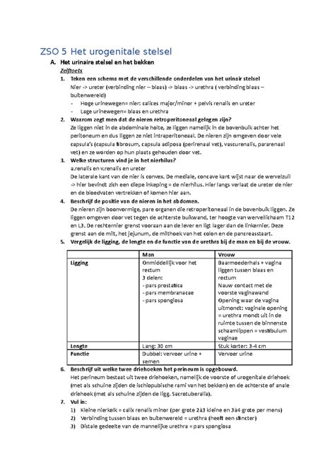 Zso 5 Het Urogenitale Stelsel Zso 5 Het Urogenitale Stelsel A Het Urinaire Stelsel En Het