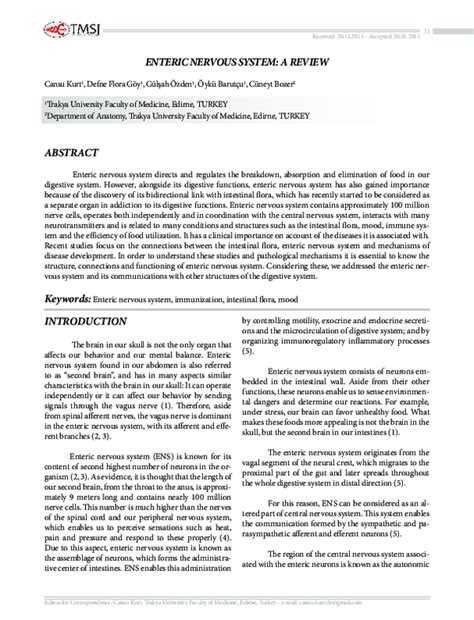 Pdf Enteric Nervous System And Intestinal Flora