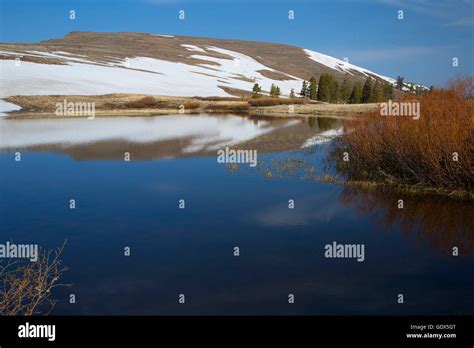 Snowmelt Pond Along Pacific Crest Trail Carson Pass National Scenic