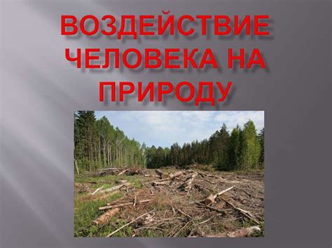 Воздействие человека на природу презентация онлайн