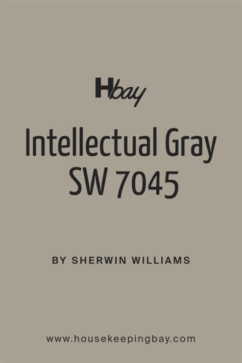 Intellectual Gray Sw 7045 By Sherwin Williams