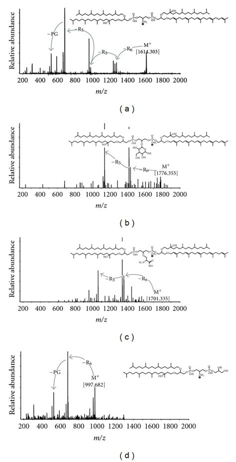 Positive Mode Ms2 Spectra Of Novel Archaeal Ipls Analyzed By
