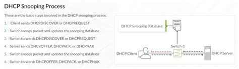 DHCP Snooping And Port Security Considerations Mist